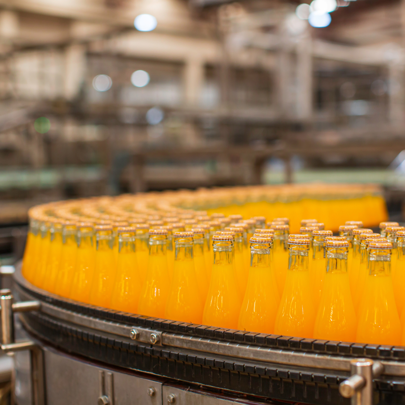 Beverage Industry – Goldpack Automation